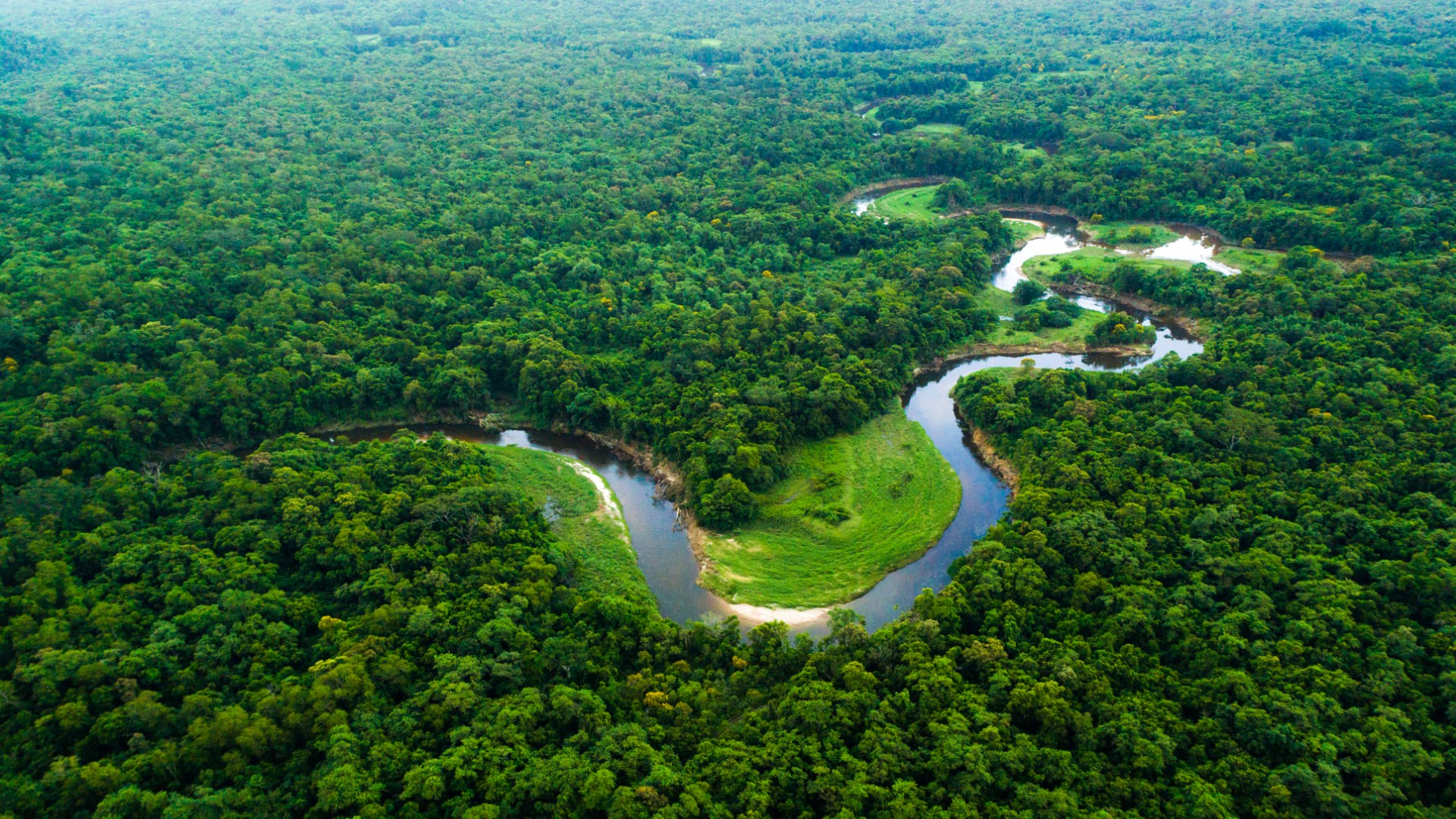ℹ Descubre los destinos más fascinantes para el ecoturismo en Latinoamérica
